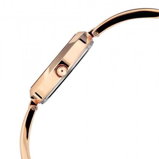 Titan Raga Viva 2606WM05 Rose Gold Dial Metal Strap Quartz Women's Watch